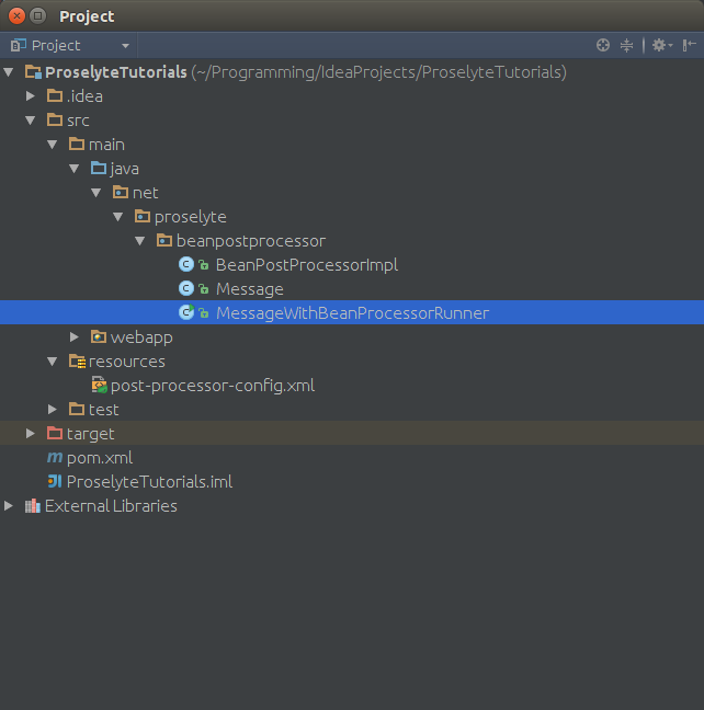 postProcessorProjectStructure – PROSELYTE